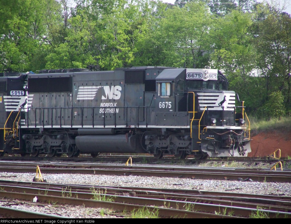 NS 6675 Horse Head logo